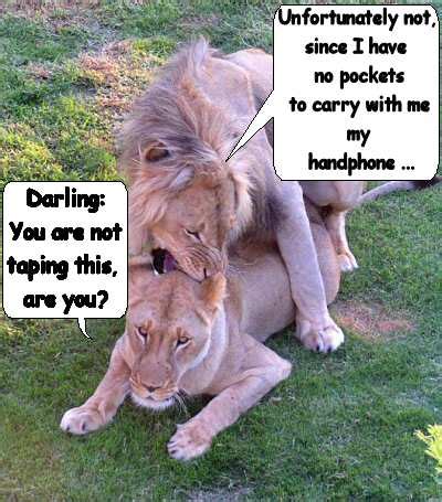 What Cats Can Teach Edison Chen About Sex