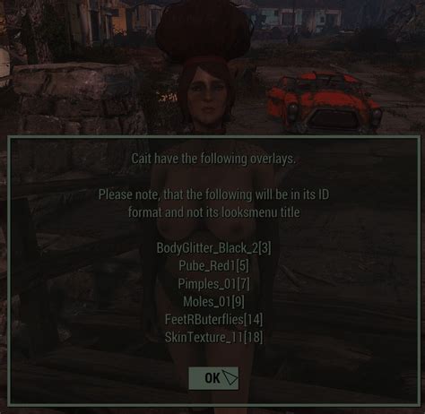 Random Overlay Framework Page 31 Downloads Fallout 4 Non Adult