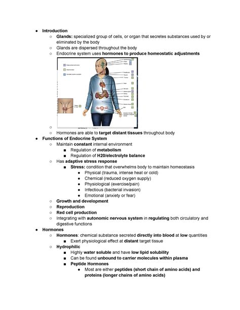PHGY Module Section Introduction Glands Specialized Group Of Cells Or Organ That