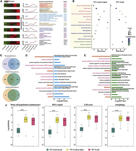 Cluster Analysis And Molecular Markers Screening A Cluster And Go Download Scientific Diagram