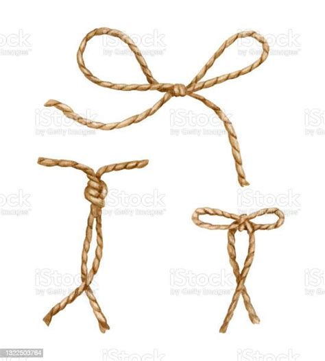 수채화 로프 활 매듭 손으로 그린 황마 코드 일러스트레이션 흰색 배경에 고립 된 넥타이 활 장식 자연 삼베 로프 세트 갈색에 대한 스톡 벡터 아트 및 기타 이미지 Istock