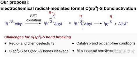 电化学自由基诱导的选择性c S键活化 知乎