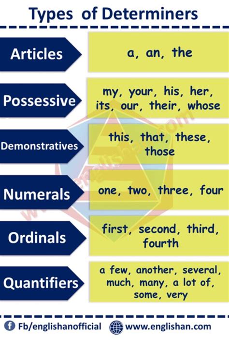 What Are Determiners Learn Their Types And Usage