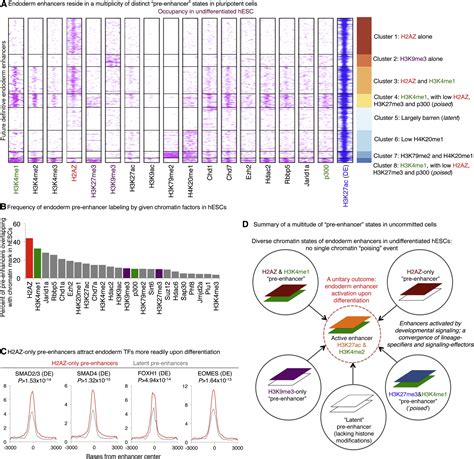 Efficient Endoderm Induction From Human Pluripotent Stem Cells By Logically Directing Signals