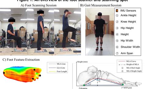 Table 1 From A Machine Learning Based Gait Estimation From The Foot Arch Parameters Measured By