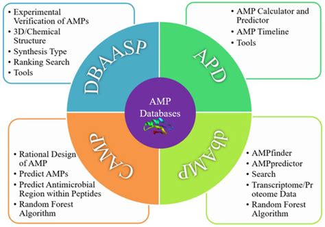 Better Antimicrobial Peptides Databases Encyclopedia Mdpi