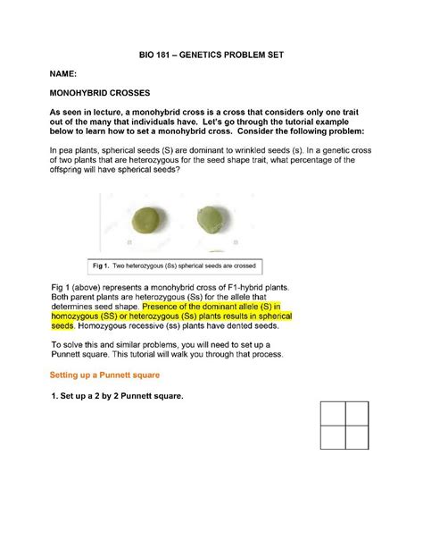 Solved Bio 181 Genetics Problem Set Name Monohybrid