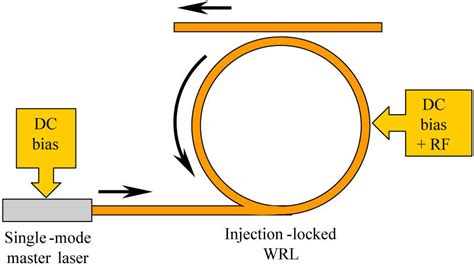 Injection Locked Microring Lasers For Ultrafast Modulation