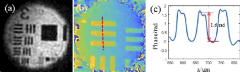 A Reconstructed Amplitude Distribution Of The Usaf Resolution Plate Download Scientific