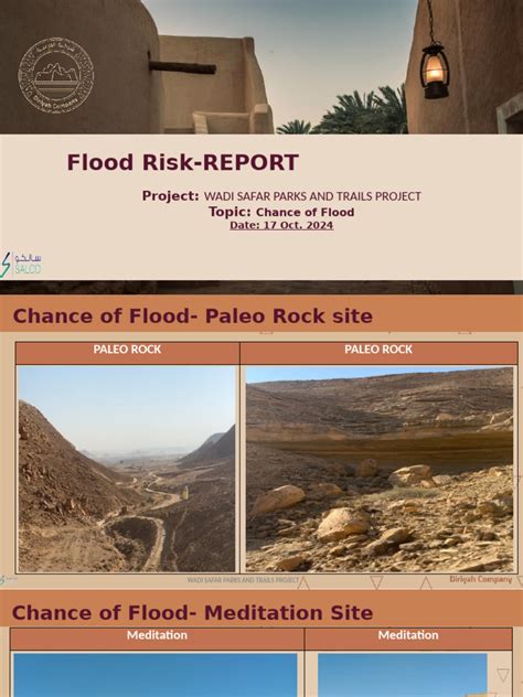 Risk Flood Campaign Report Pdf