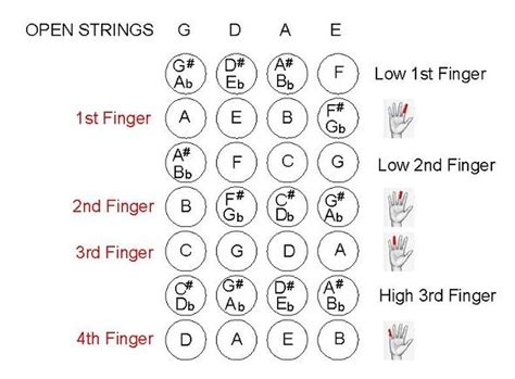 Violin Notes The Best Beginners Guide With Fingering Chart