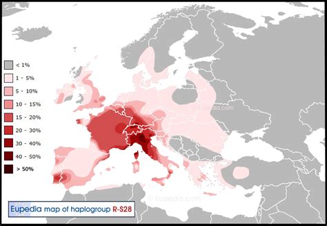 Haplogroup R1b Y Dna Eupedia