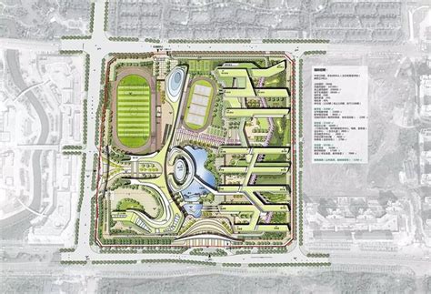 学校投标总图色调 Site Plan Design Urban Design Plan Architecture Presentation Board