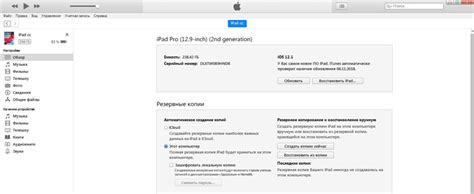 Как сбросить пароль на Ipad если забыл 3 способа