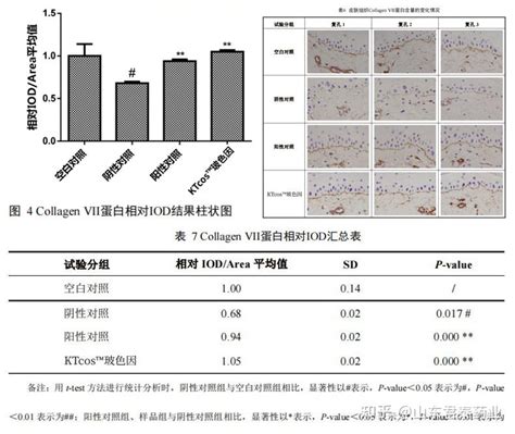 欧莱雅曾经的天价原料玻色因可以被中国玻色因替代吗 知乎