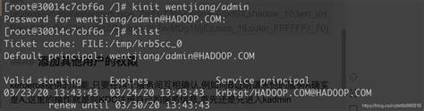容器中安装kerberos客户端 docker kerberos mob6454cc6328d1的技术博客 51cto博客