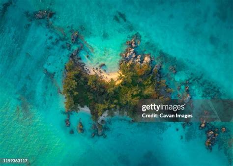 Bermuda Grass Images Photos And Premium High Res Pictures Getty Images