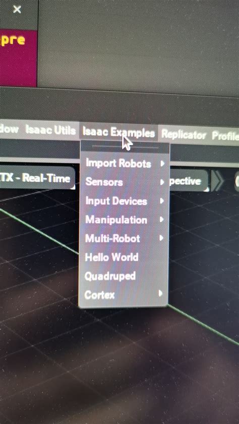 No Option Of Rl Examples In Isaac Examples Isaac Sim Nvidia Developer Forums