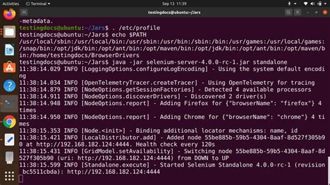 Selenium Server Error No Drivers Have Been Configured Testingdocs