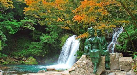 일본 도쿄 출발 맞춤형 전세 차량 1일 투어 10시간 이즈 아타미 매화원 단풍놀이 시즈오카 Kkday