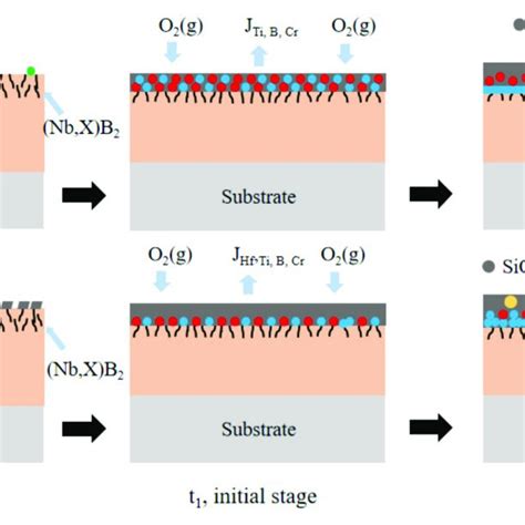 Schematic Drawing Of Oxidation Process Of B Modified Silicides Coatings