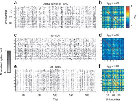 Single Session Example Of Surrogate Data Sets A C E Normalized Spike Download Scientific