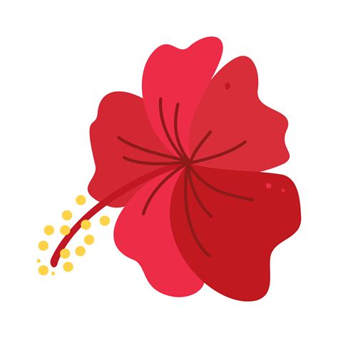 Tropical Red Flower Element 19646676 Png