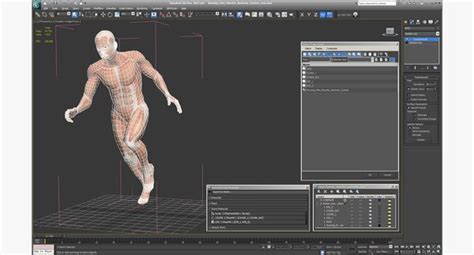 달리기 남자 근육 해부학 시스템 3d 모델 Turbosquid 1236288