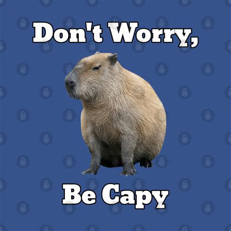 Capybara Dont Worry Be Capy Capybara Dont Worry T Shirt Sold By Alex Scheman Sku 5101002