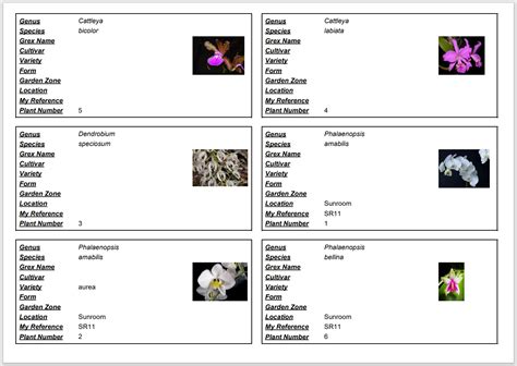 Orchid Database Software Track Watering Repotting And Care