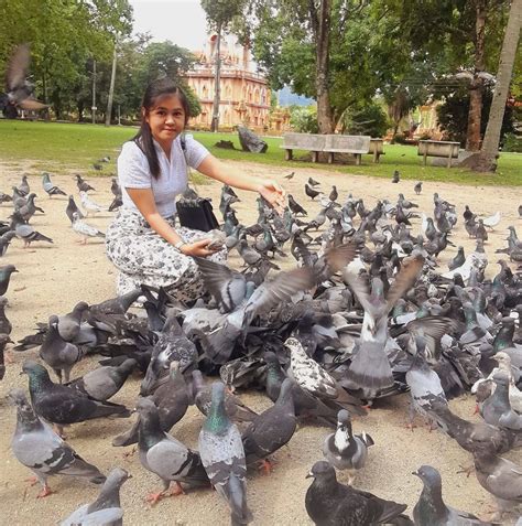 မန်းလေးမြို့ ငယ်ဇင်တွဲပွဲတက်လေးမှ မဂ်လာစုလျားပုံလေးတွေ လက်ဆောင်ရရှိတဲ့