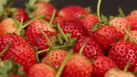 Скачать видео футажи на тему Еда Фрукты Овощи Страница 3