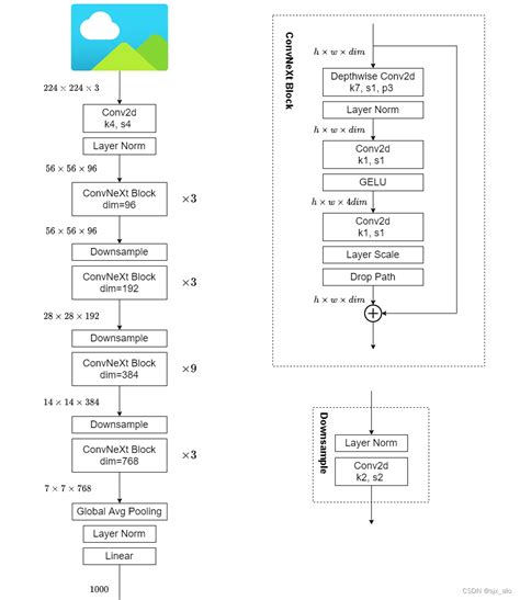 Convnext：pytorch实现pytorch实现的convnext Csdn博客