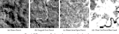 Figure 1 From Geostatistical Texture Classification Of Tropical Rainforest In Indonesia