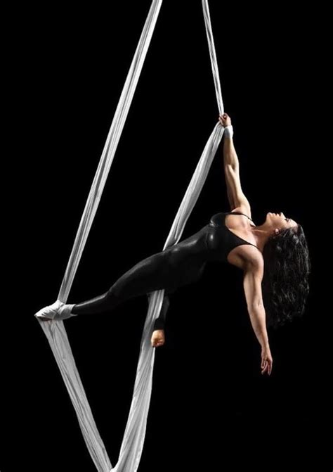 Aerial Silk Poses For Beginners At James Carlos Blog