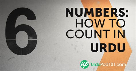 Urdu Numbers How To Count In Urdu