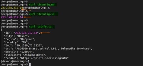 How To Find Public Ip Address In Linux From Command Line