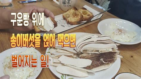 구운빵 위에 송이버섯을 얹어 먹으면 벌어지는 일 Youtube