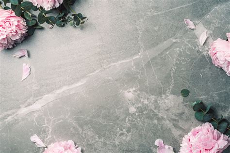 대리석 배경에 핑크 모란의 프레임 화환 패턴 플랫 레이 상단 보기 플로럴 컴포지션 결혼식 생일 기념일 꽃다발 여성의 날 어머니의 날 크리에이티브 플로럴 프레임 0명에 대한