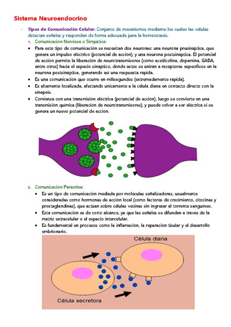 Comunicación Celular Y Mecanismos De Regulación Hormonal En El Sistema