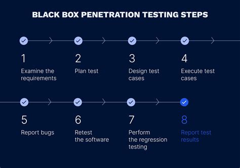 Black Box Penetration Testing Effectivesoft