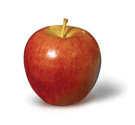 Are Braeburn Apples Healthy At Bridget Mireles Blog
