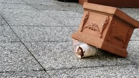 Additivemanufacturing Prototyping Computerscience