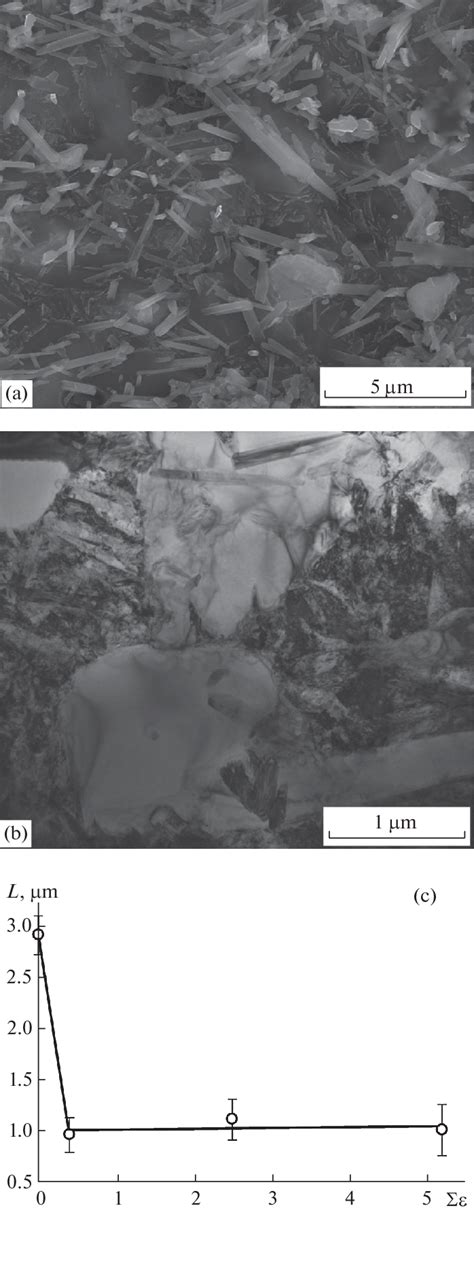 Microstructure Of The Titib Composite Material Deformed By Mif At Download Scientific Diagram