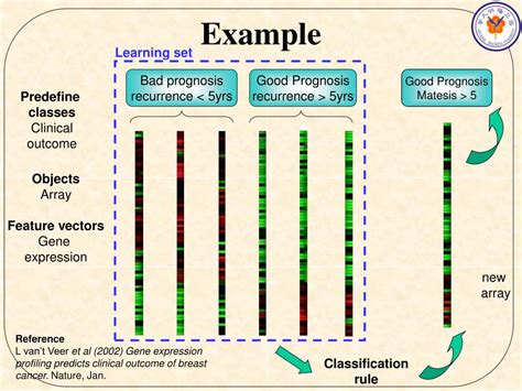 ppt neural networks in bioinformatics powerpoint presentation free download id 4205058