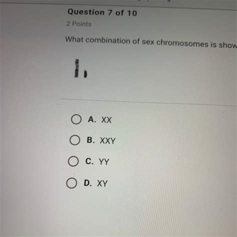 What Combination Of Sex Chromosomes Is Shown In The Image