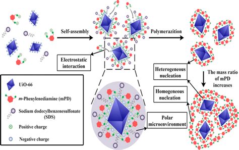 Illustration Of The Formation Of The Core Shell Structure Download Scientific Diagram