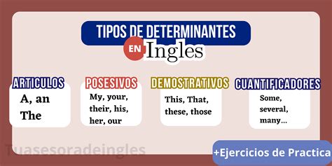 Tipos Y Ejemplos De Determinantes En Ingles