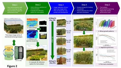 The High Throughput Analysis Pipeline For Processing And Quantifying Download Scientific
