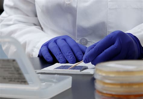 Maldi Tof Organism Identification Neogen